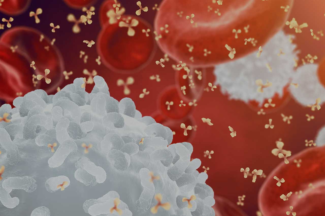 Maynard Paton | Bioventix: Satisfactory 2019 Results Reveal (Yet ...